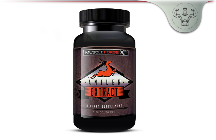 Muscle Forge X | Supplement Police