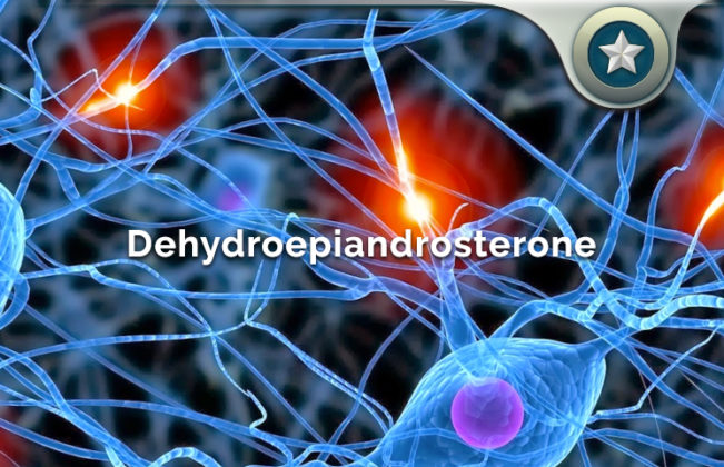 Dehydroepiandrosterone Review - DHEA Androstenolone Health Benefits?